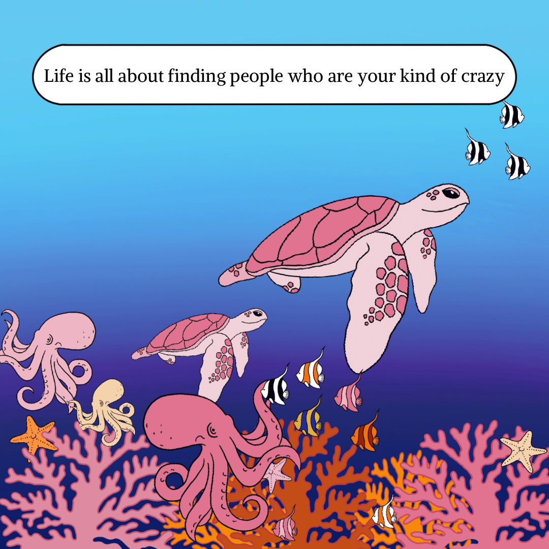 Gallery – Aisha Khatun